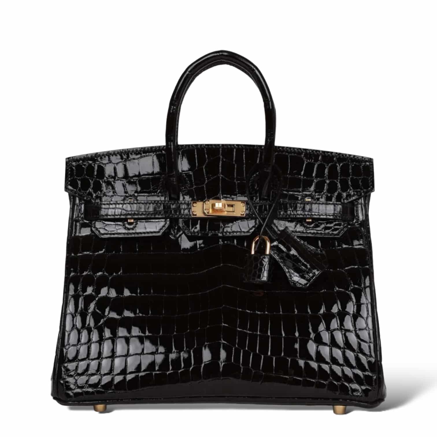 Hermes Birkin 25 Black Croco GHW | The Luxury Flavor